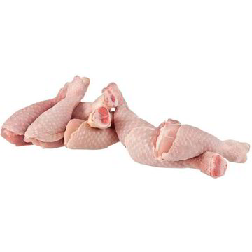 Vendita FUSELLI DI POLLO MEDI CONGELATI 1,7 KG CIRCA all'ingrosso ...