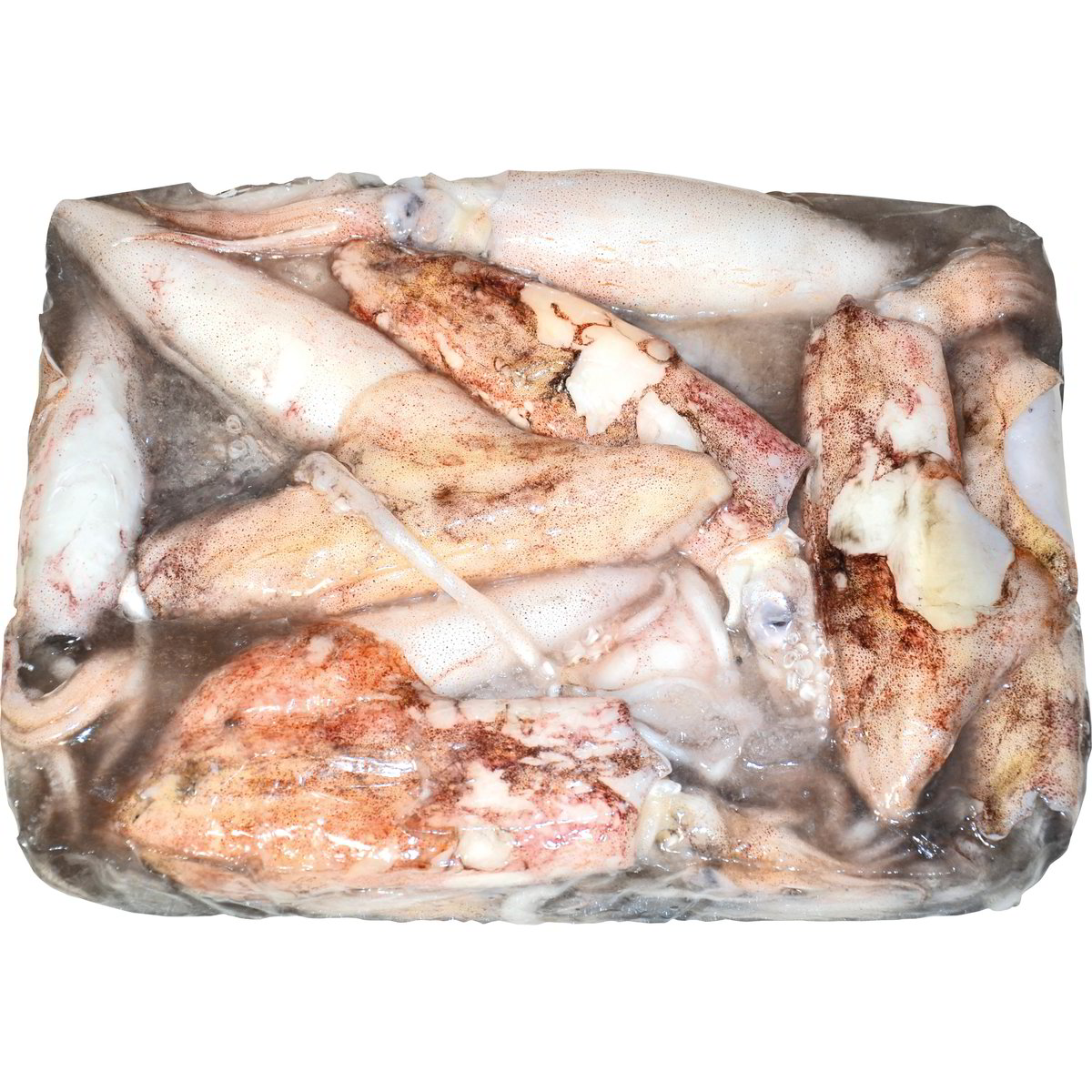 Vendita CALAMARI 300/500 CONGELATO NETTO SENZA GLASSATURA 5 KG CIRCA ...