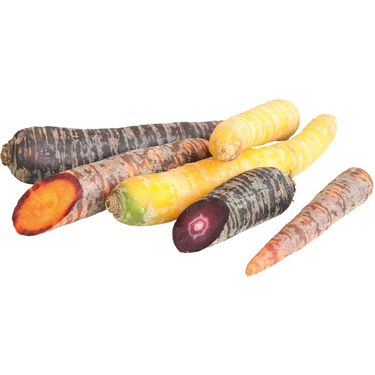 Vendita CAROTE COLORATE all'ingrosso. Carote all'ingrosso - Zona