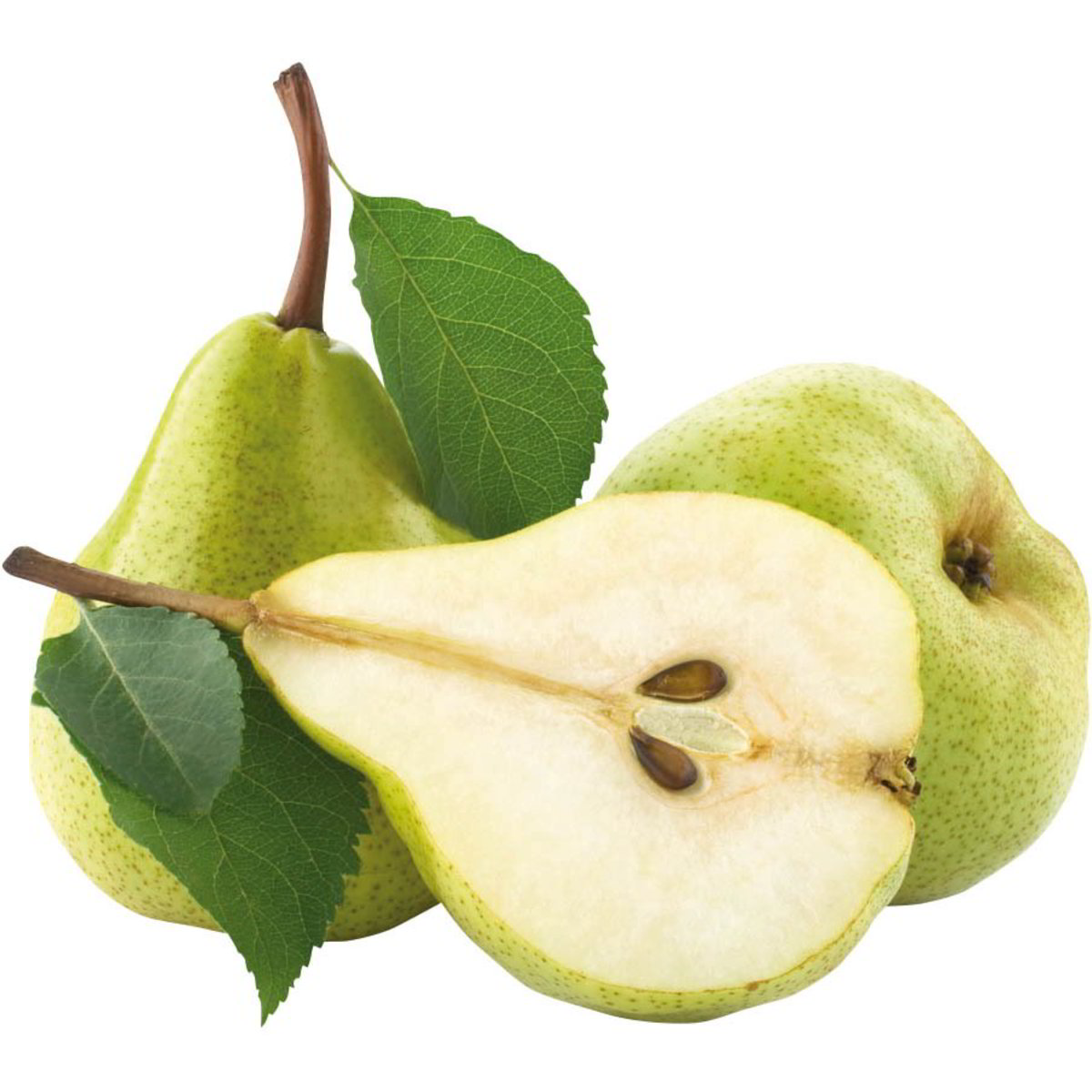 Vendita PERE WILLIAMS BIANCHE CAT. 1 CAL. 70/75 ITALIA all'ingrosso ...