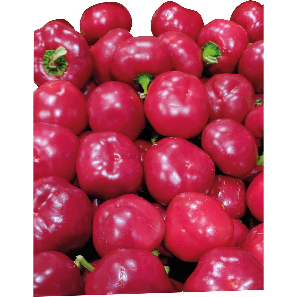 Vendita PEPERONCINO ROSSO TONDO e all'ingrosso. Peperoni all'ingrosso ...