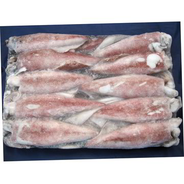 Vendita CALAMARI ATLANTICI M CONGELATI 13 KG CIRCA all'ingrosso ...
