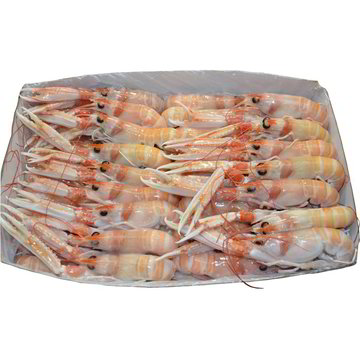 Vendita SCAMPI INTERI 5/10 IRLANDA all'ingrosso. Surgelati pesce all ...
