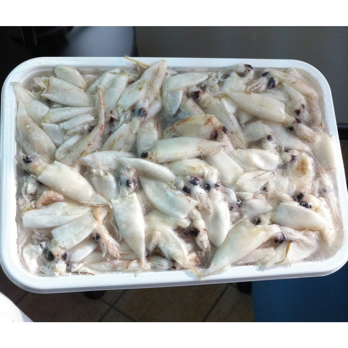 Vendita CALAMARETTO MAR MEDITERRANEO 800 G all'ingrosso. Surgelati ...