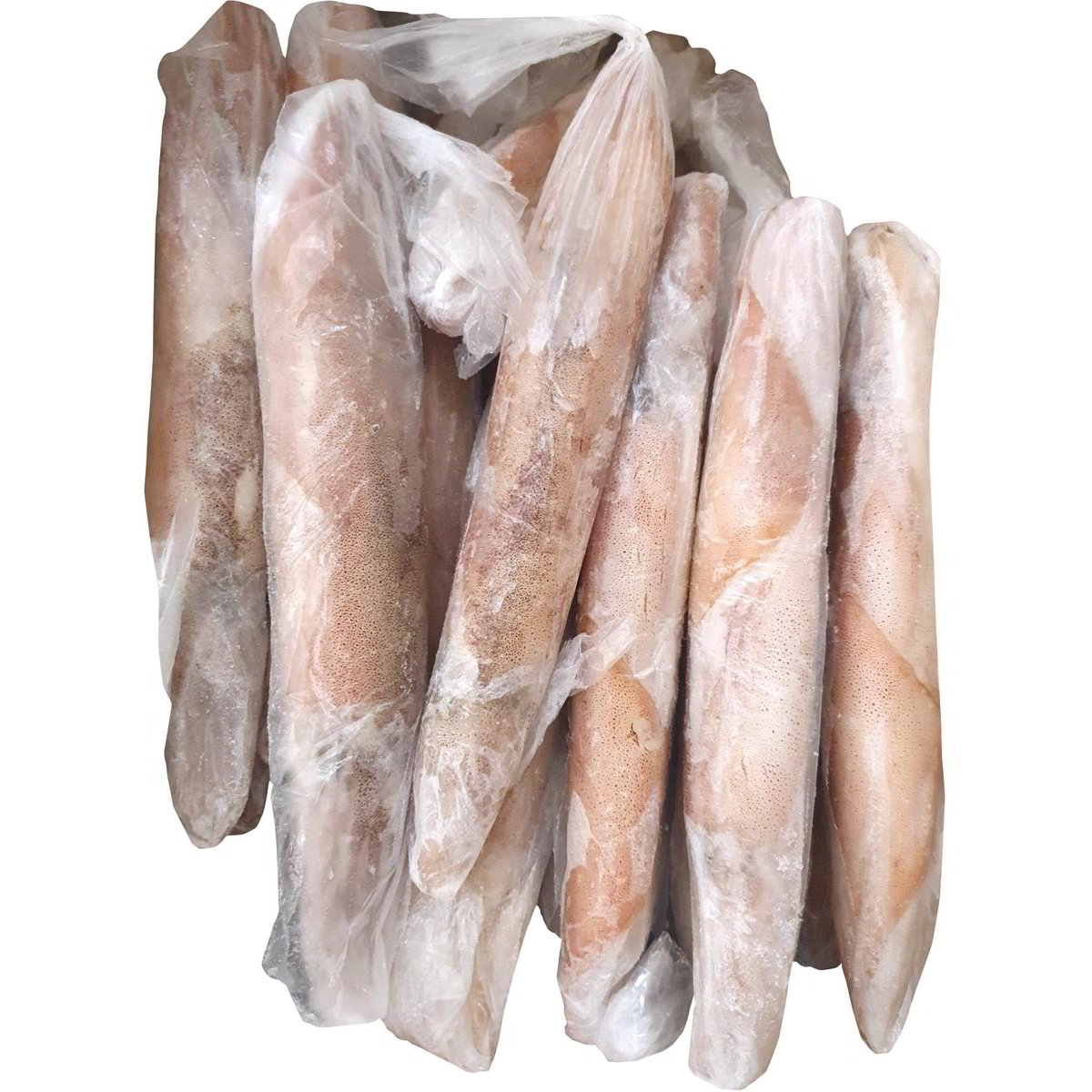 Vendita CALAMARI ATLANTICO L SUD AFRICA IWP IQF CONGELATI PESO NETTO ...