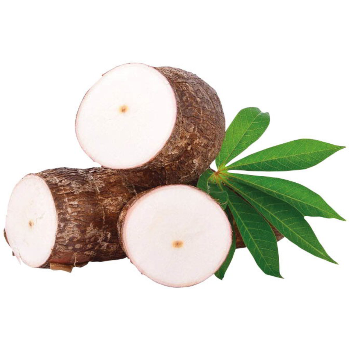 Vendita MANIOCA (YUKA) all'ingrosso. Frutta esotica all'ingrosso - Zona