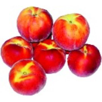 Vendita PESCHE GIALLE POLPA GIALLA CAT.2 CAL.B SPAGNA all'ingrosso ...