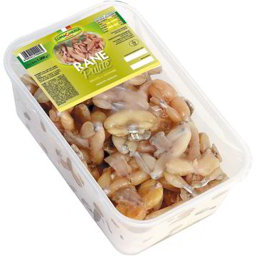 Vendita COSCETTE DI RANA SURGELATE 1 KG all'ingrosso. Surgelati carne ...