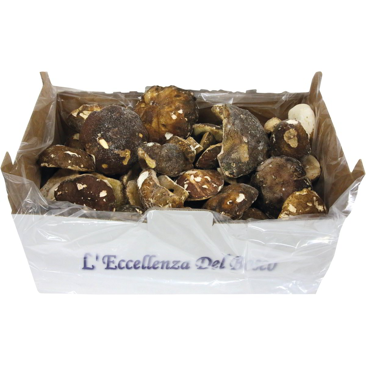 Vendita FUNGHI PORCINI INTERI CAT. 2 e all'ingrosso. Surgelati vegetali ...