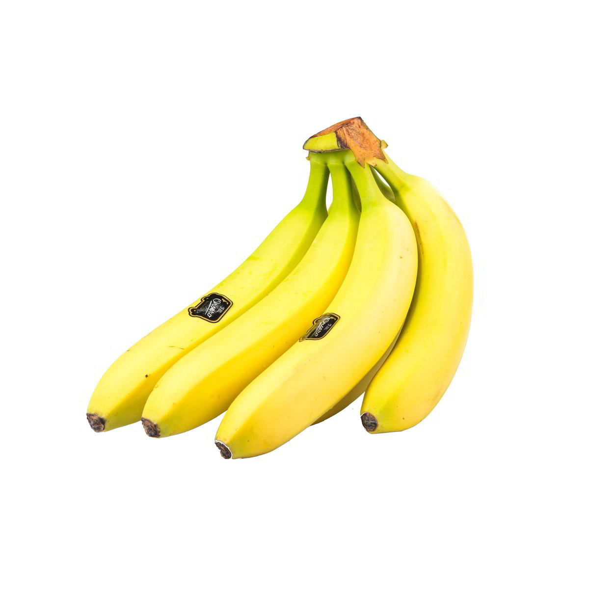 Vendita BANANE ORSERO CAT.1 CAL.19+ COSTA RICA all'ingrosso. Banane all ...
