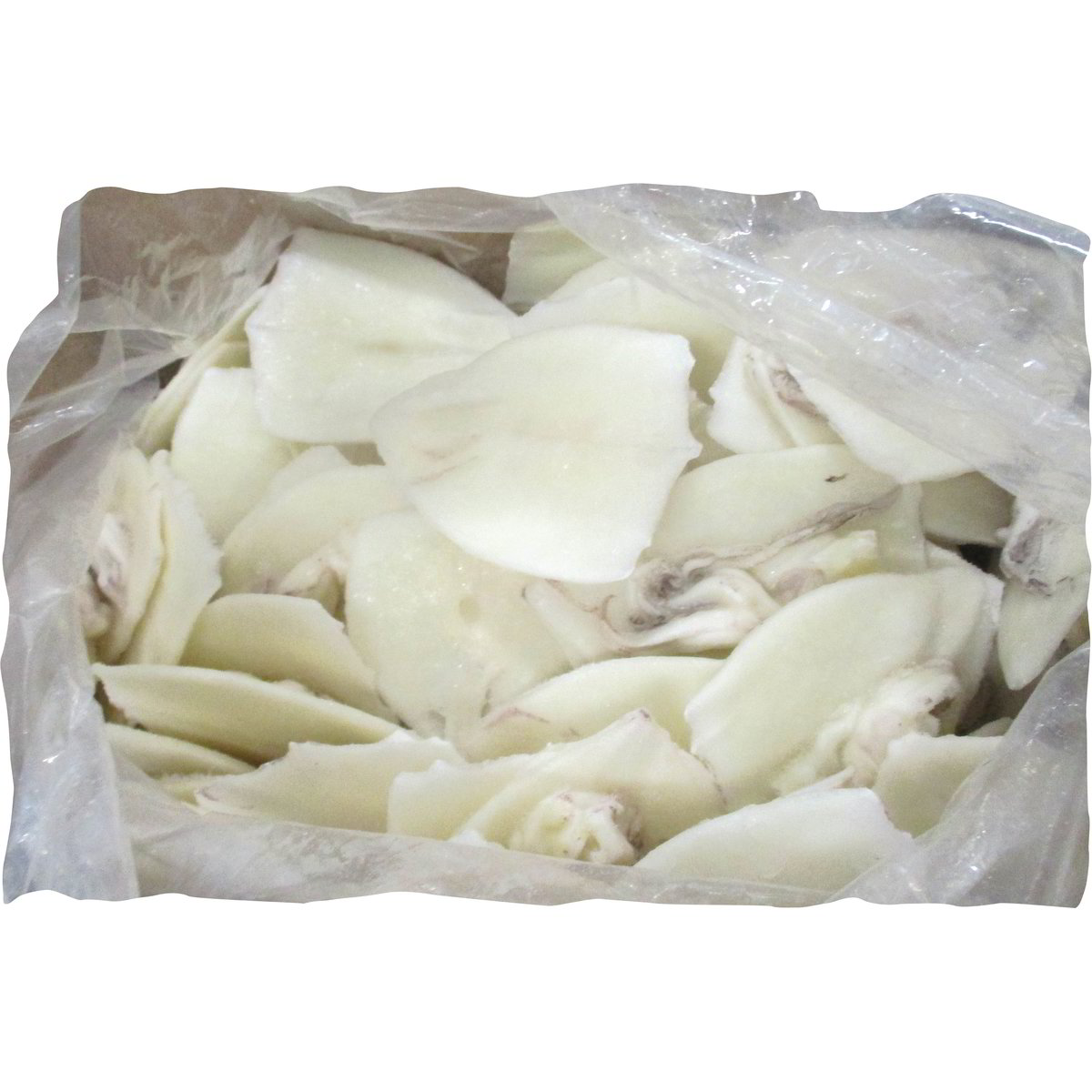 Vendita CALAMARI PATAGONICI PULITI APERTI CONGELATI IN BLOCCO PESO ...