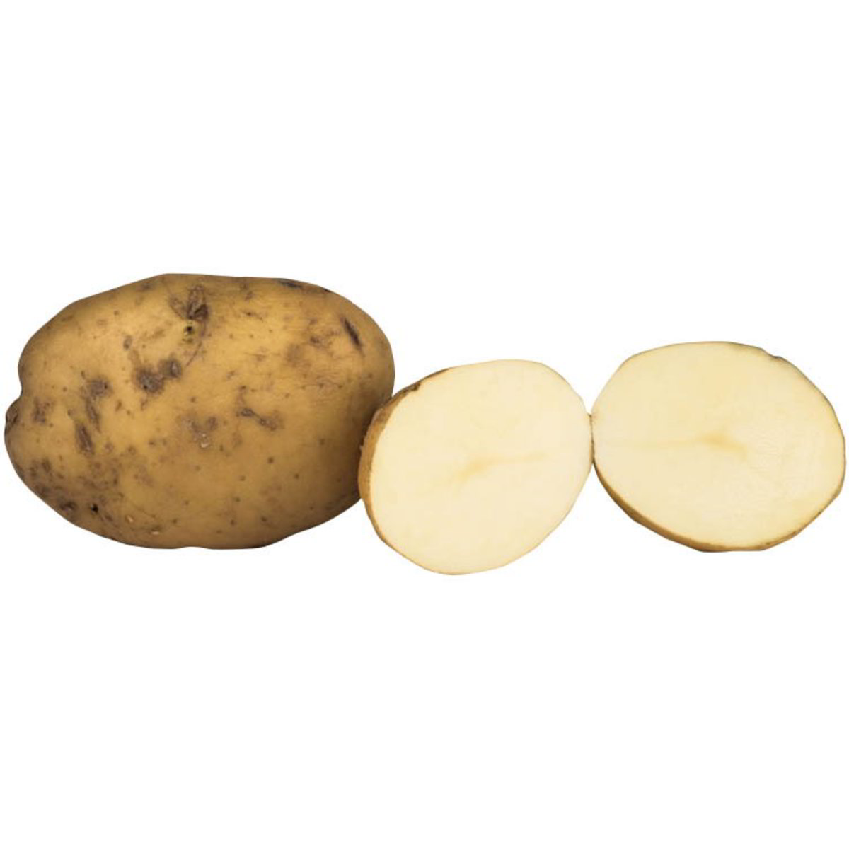 Vendita PATATE BIANCHE CASSA CAT 1 CAL 45/90 ITALIA 6 KG all'ingrosso ...