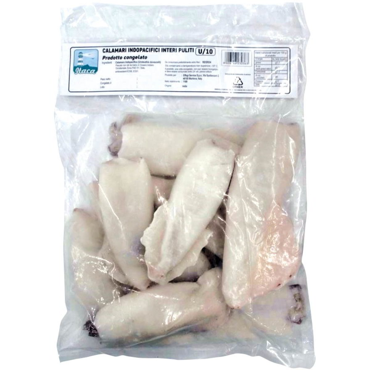 Vendita CALAMARI INDOPACIFICI U/10 INTERI PULITI CONGELATI PESO NETTO ...