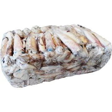 Vendita CALAMARO PATAGONICO C4 (8-10 CM) BLOCCO CONGELATO PESO NETTO ...