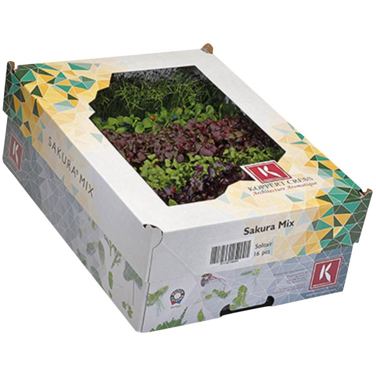 Vendita GERMOGLI SAKURA MIX PAESI BASSI 1,5 KG all'ingrosso. Quarta ...