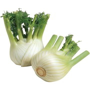 Vendita FINOCCHI CAT. 2 all'ingrosso. Finocchi all'ingrosso - Zona