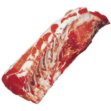 Vendita CARRE DI CAVALLO APPESO CON OSSO 12 KG CIRCA all'ingrosso ...