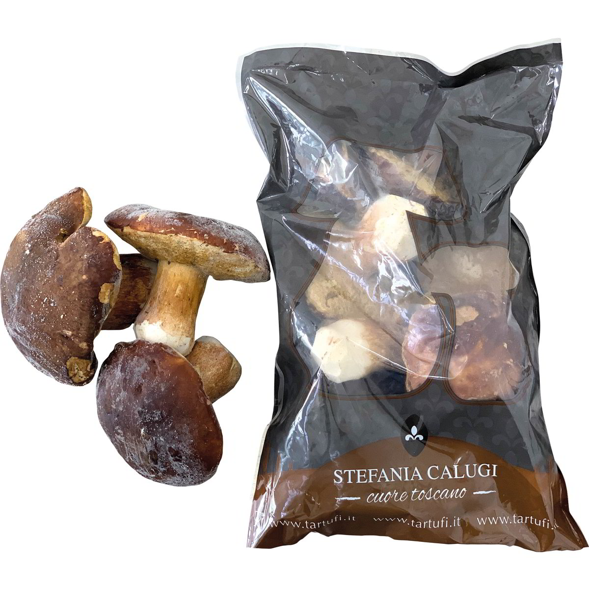 Vendita FUNGHI PORCINI CAT 1 G CONGELATI all'ingrosso. Surgelati ...
