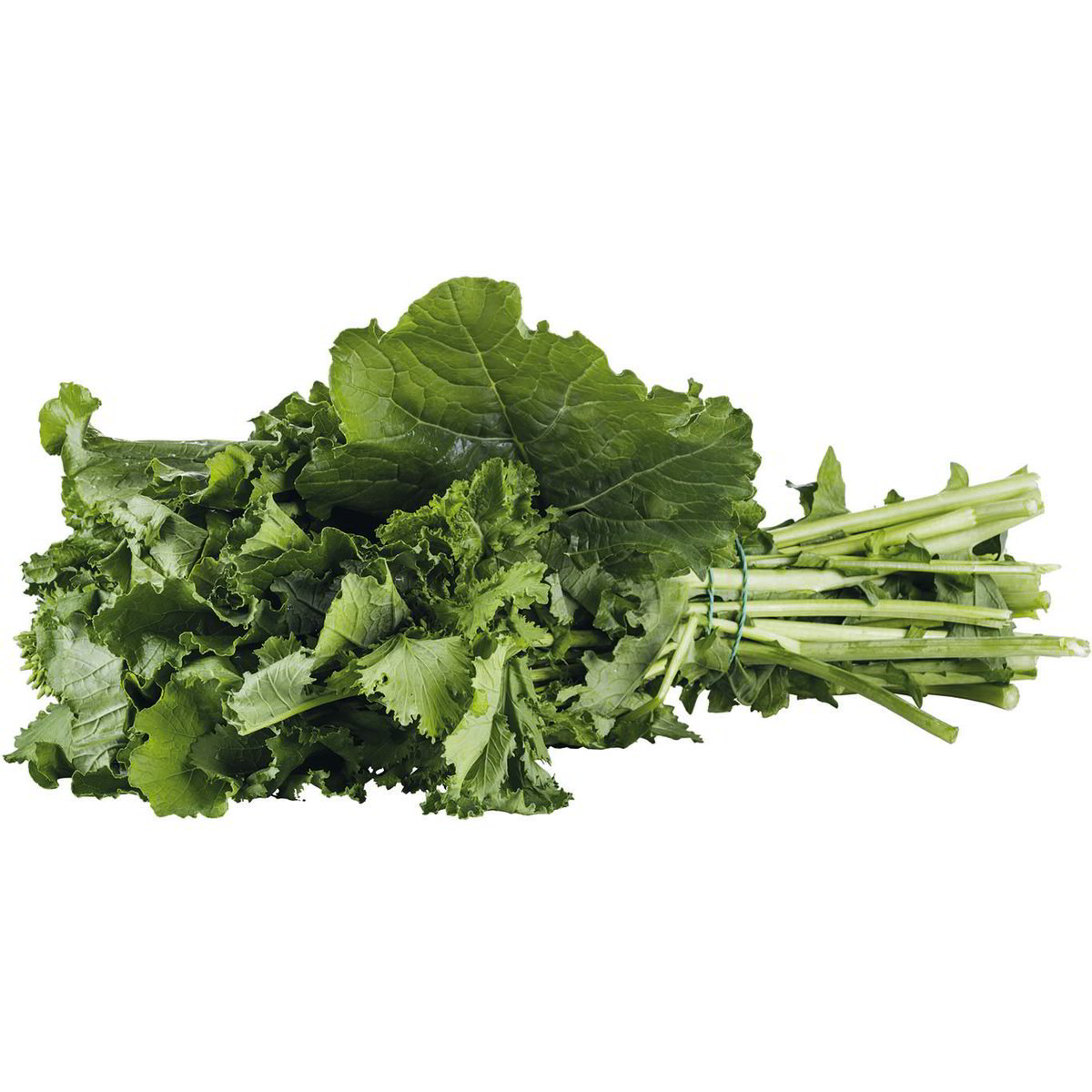 Vendita CIME DI RAPA CAT. 1 ITALIA all'ingrosso. Verdura in foglia all ...