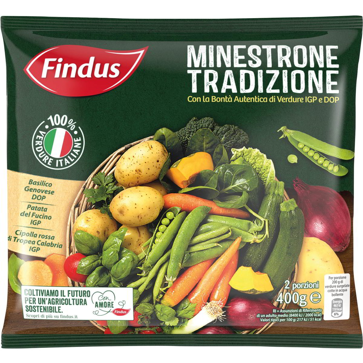 Vendita MINESTRONE TRADIZIONALE IGP FINDUS 400 G all'ingrosso ...