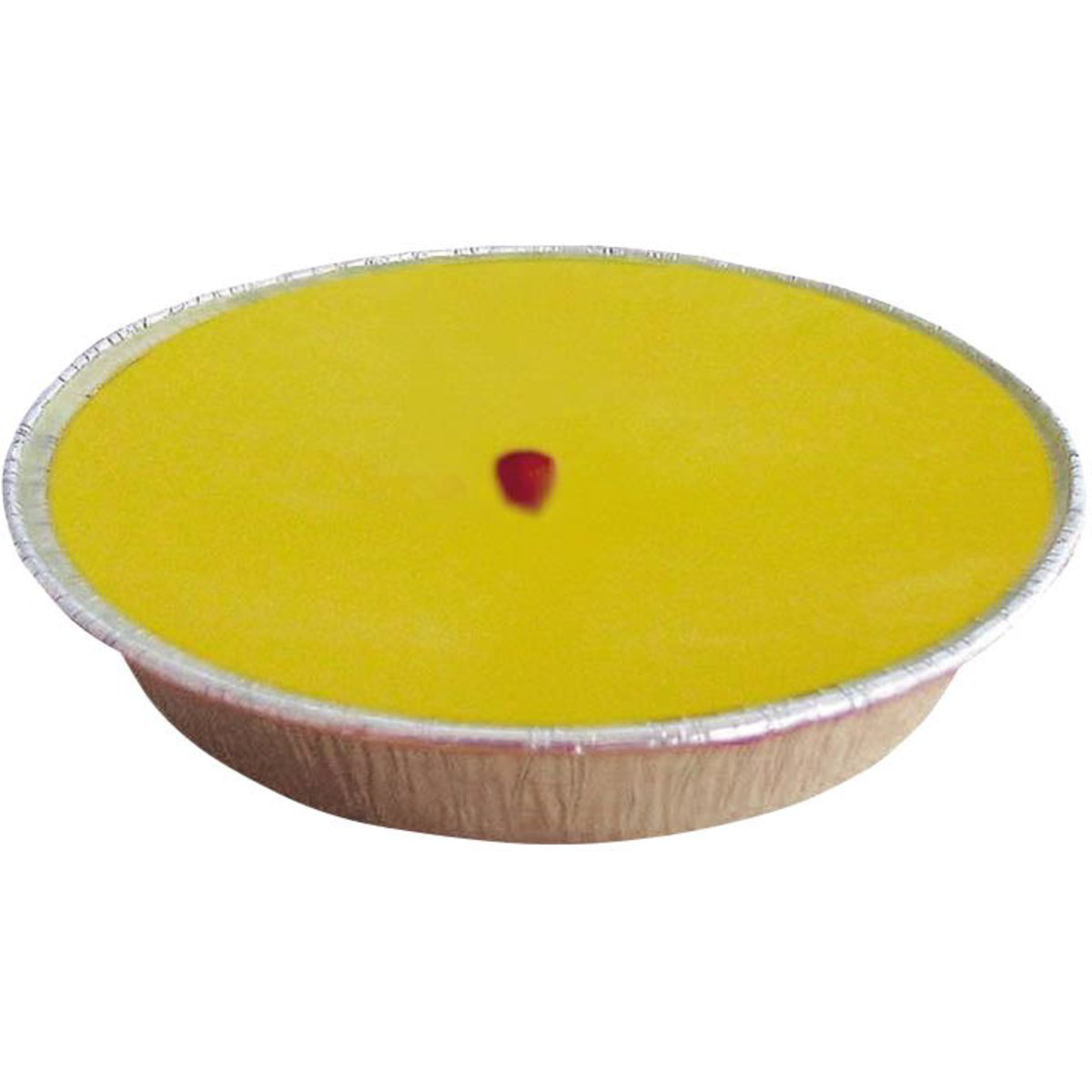 Vendita CITRONELLA MINI PARTYLIGHT ALLUMINIO all'ingrosso. undefined ...