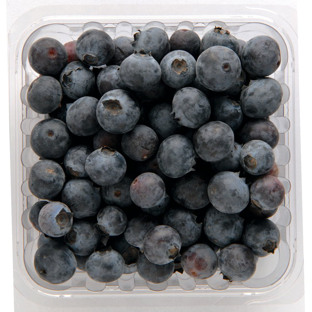 Vendita MIRTILLI VASCHETTA CAT. 1 ITALIA 125 G all'ingrosso. Frutta ...