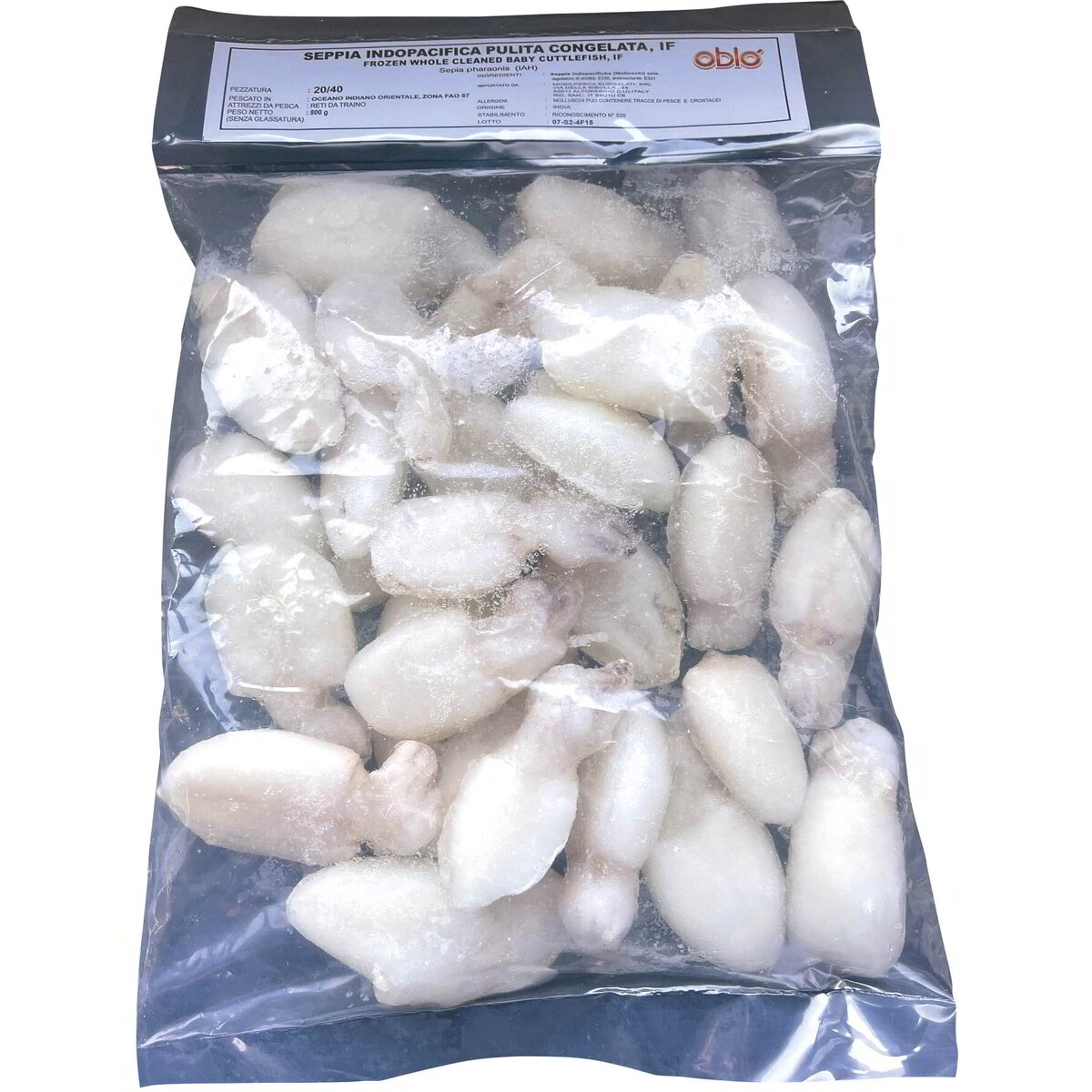 Vendita SEPPIE INDOPACIFICHE INTERE PULITE 20/40 CONGELATO NETTO SENZA GLASSATURA IQF 800 G all ...