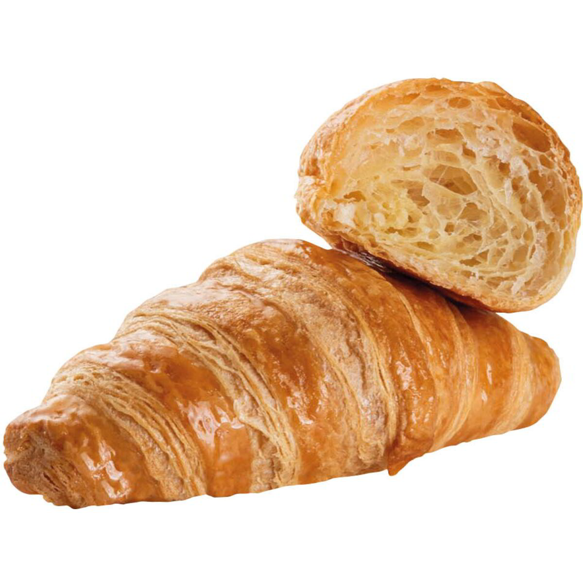 Vendita MAZZILLI CORNETTO VUOTO PRONTO FORNO SURGELATO all'ingrosso ...